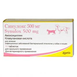 Buy Sinulox for the treatment of infectious diseases of dogs and cats ...