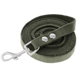 Buy Canvas leash for dogs of medium and large breeds 25mm * 3m online